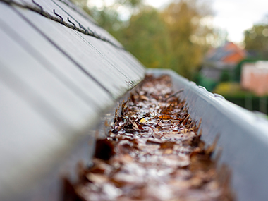 Clogged Gutters Roof Damage Bellevue